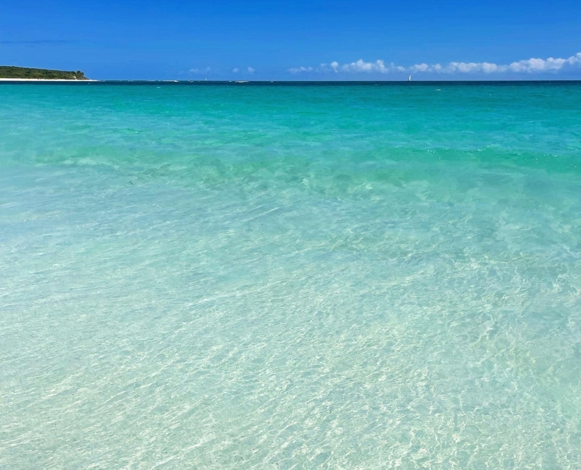 Discover the Best Things to Do in Vieques, Puerto Rico - Coco Loco ...