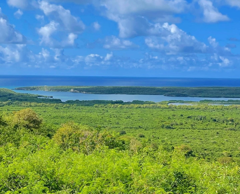 How to Get to Vieques, Puerto Rico
